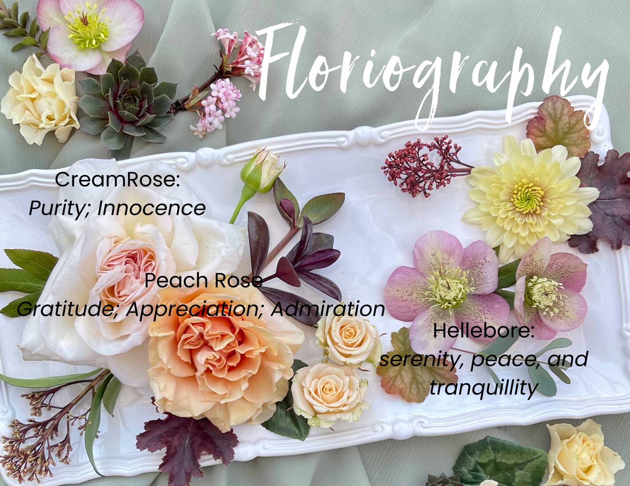 Unlocking the Victorian Language of Flowers: A Timeless Tale of ...
